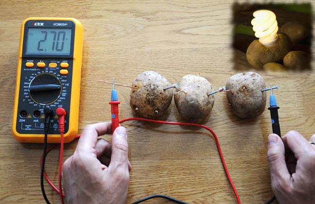Try this! Boiled Potato Can Power LED-bulb for 40 days - PubShares