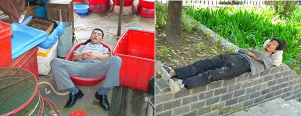 Hiring: Professional Sleepers; Company Offers High Salary For Someone ...